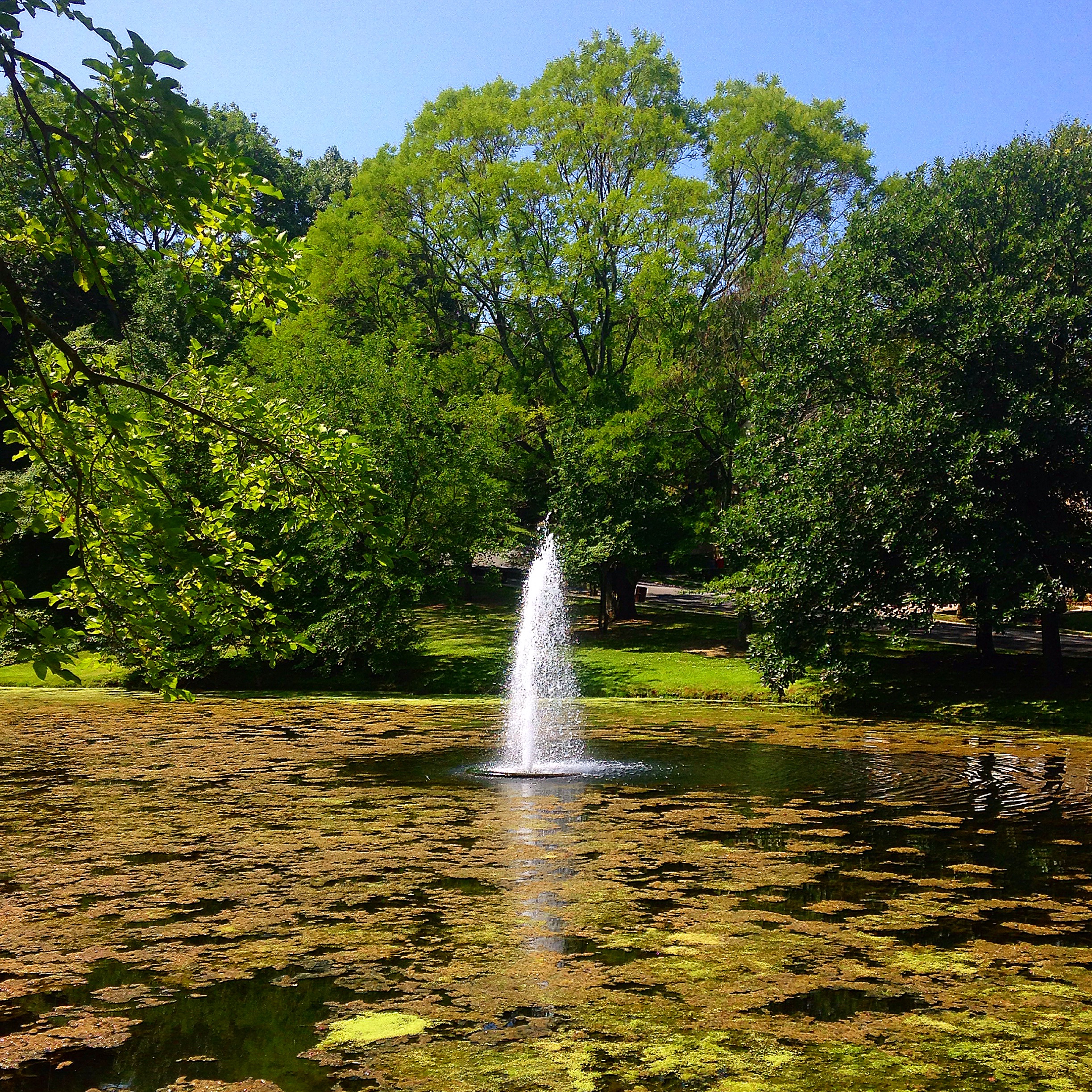 Allison Pond Park - Holly's Staten Island Buzz Realty
